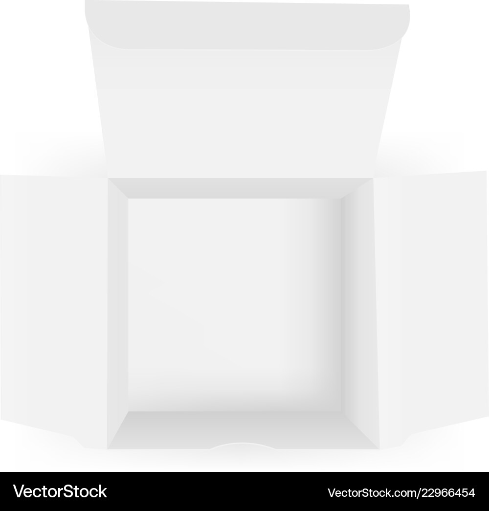 Empty opened paper box mock up - top view Vector Image