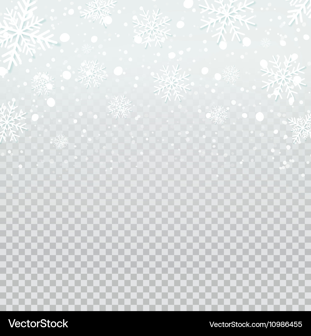 Falling snow backdrop on transparent background Vector Image