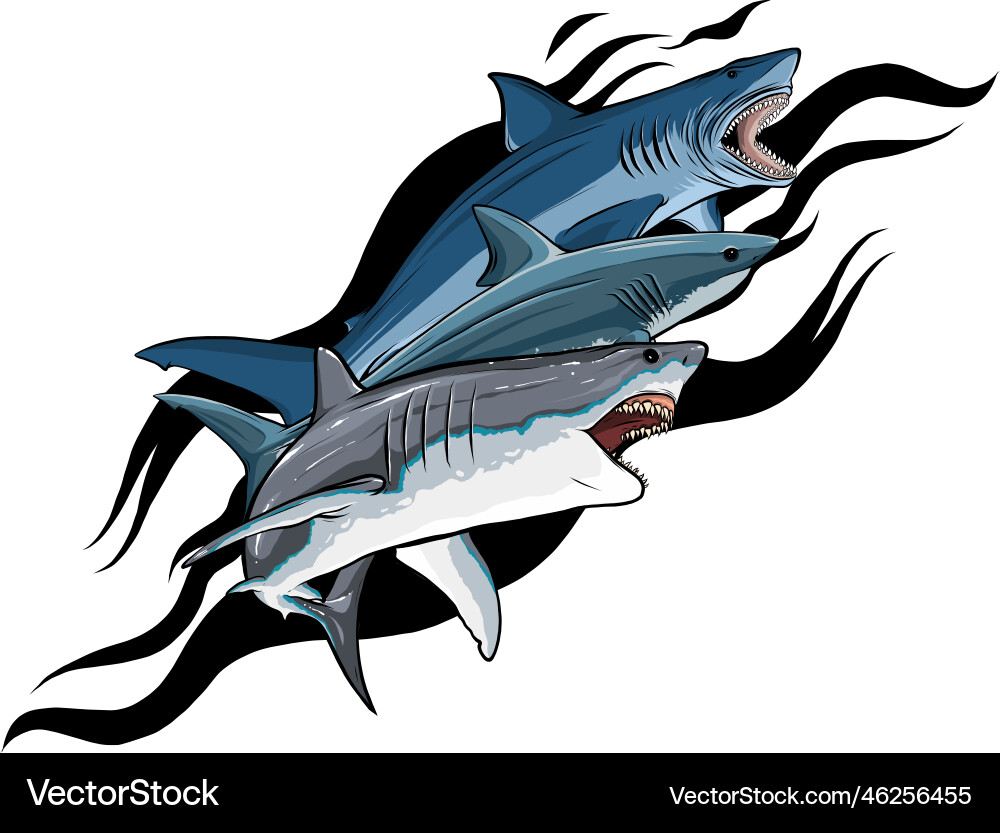 Sharks Collection - Diverse Marine Life Royalty Free Vector