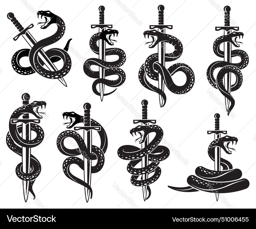 Snake and sword set Royalty Free Vector Image - VectorStock