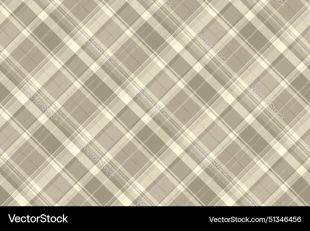 Art seamless background pattern panjabi check Vector Image