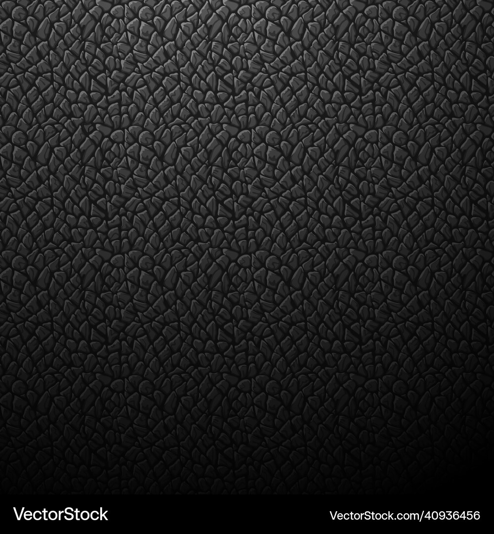 Black Leather Texture Background Royalty Free Vector Image