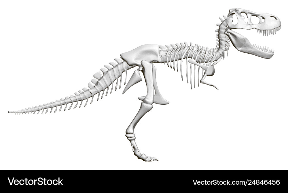 Dinosaur skeleton side view 3d Royalty Free Vector Image