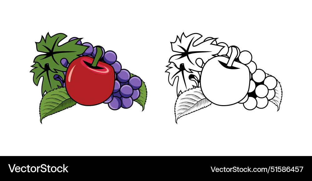 Fruits design Royalty Free Vector Image - VectorStock