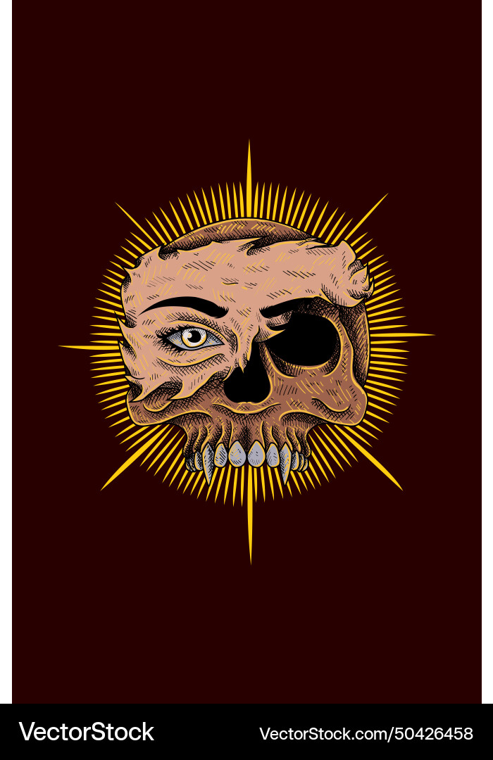 Half human skull Royalty Free Vector Image - VectorStock