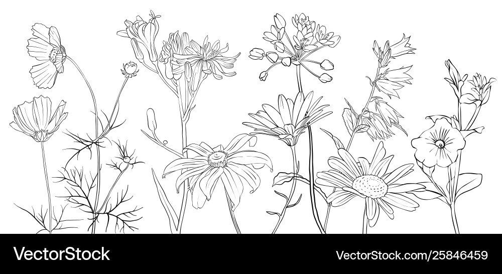 Drawing flowers Royalty Free Vector Image - VectorStock