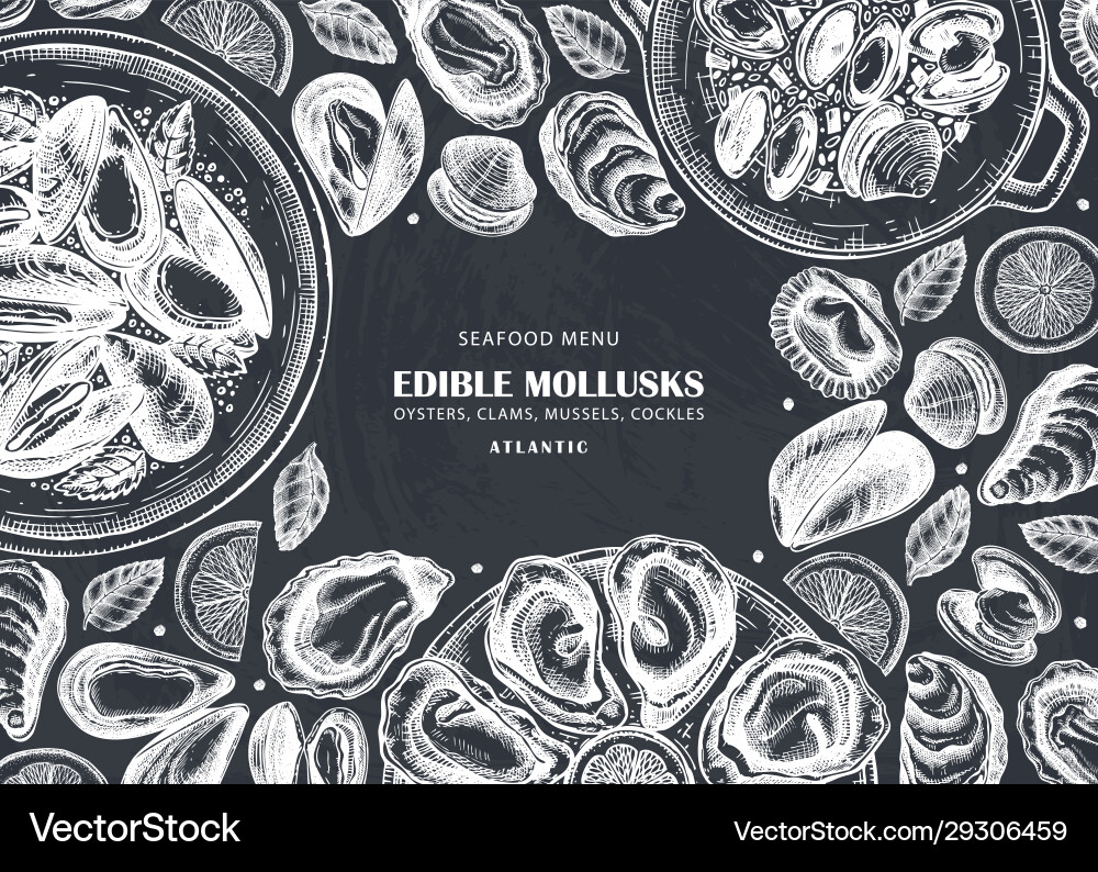 Hand drawn edible marine mollusks Royalty Free Vector Image