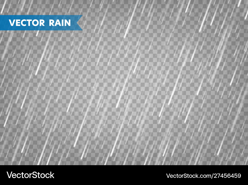 Realistic rain texture on transparent background Vector Image