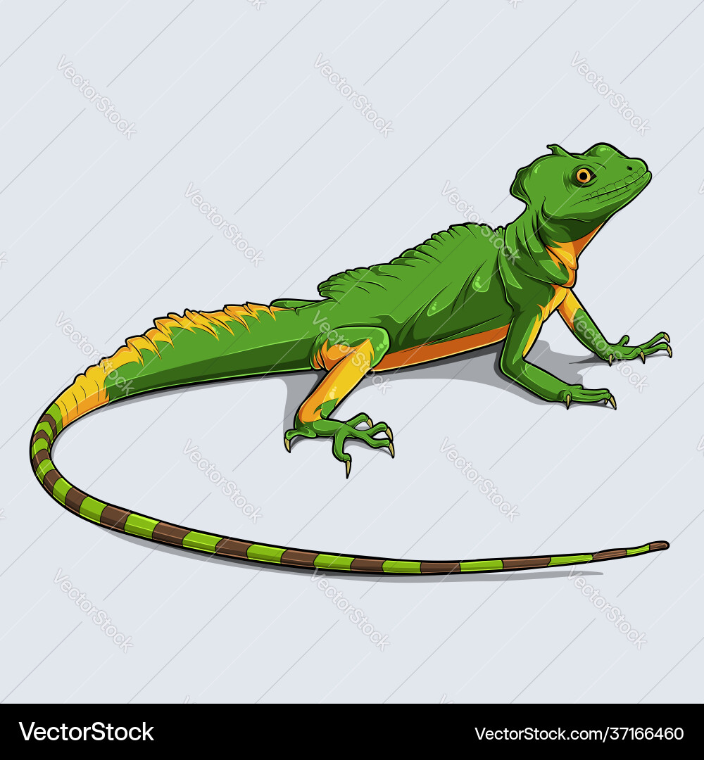 Hand drawn colorful gecko lizard reptile Vector Image