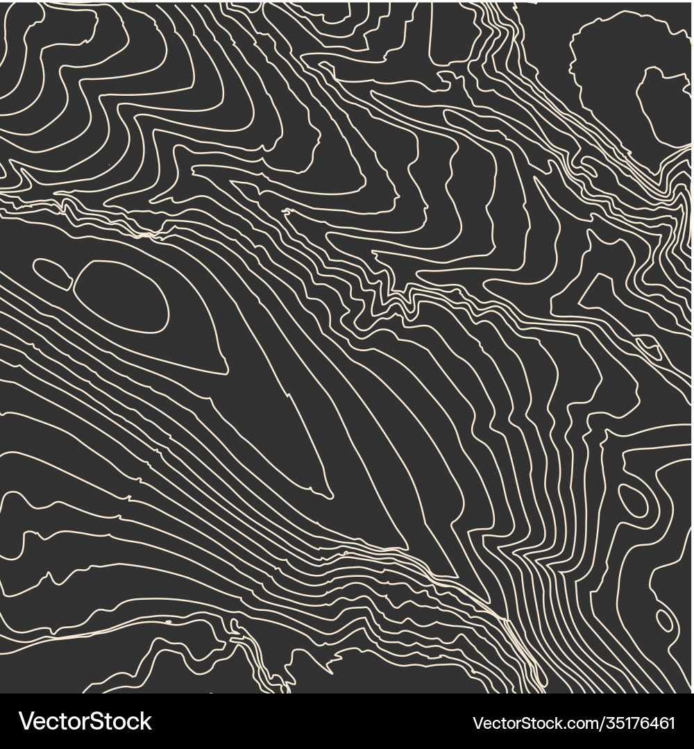 Grey contours topography geographic Royalty Free Vector