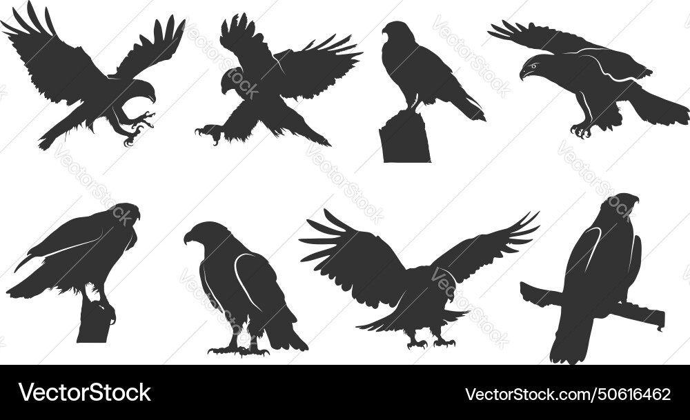 Hawk Outline Vector Images (over 5,100)