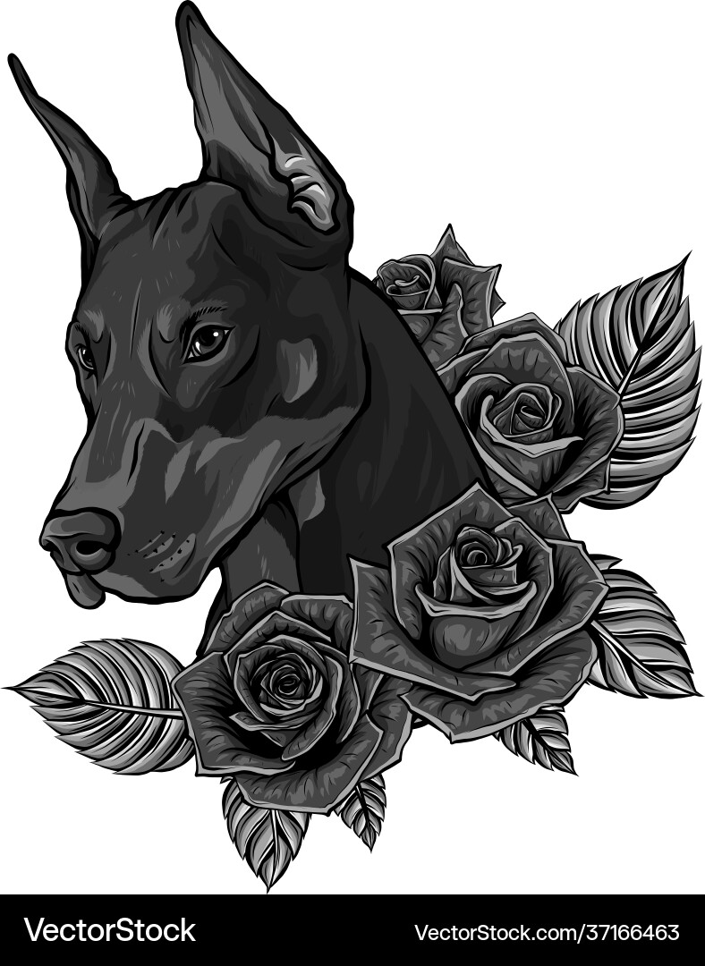 Design dobermann dog face with roses Royalty Free Vector