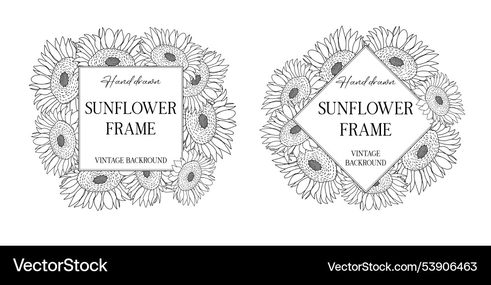 Hand drawn botanical frame with sunflowers Vector Image