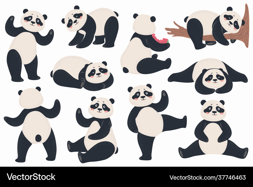 Panda cute pandas chinese bear in various poses Vector Image