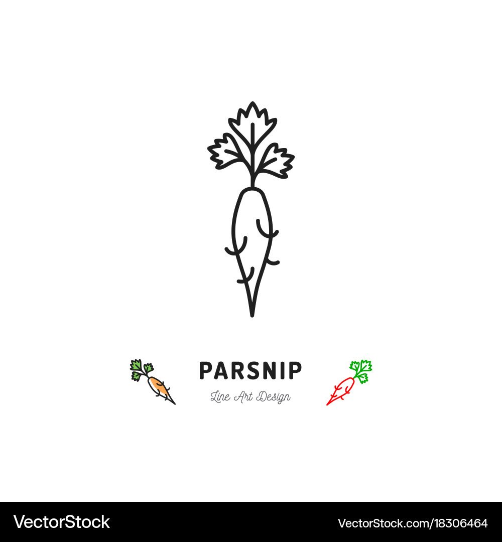 Parsnip icon vegetables logo thin line art design Vector Image