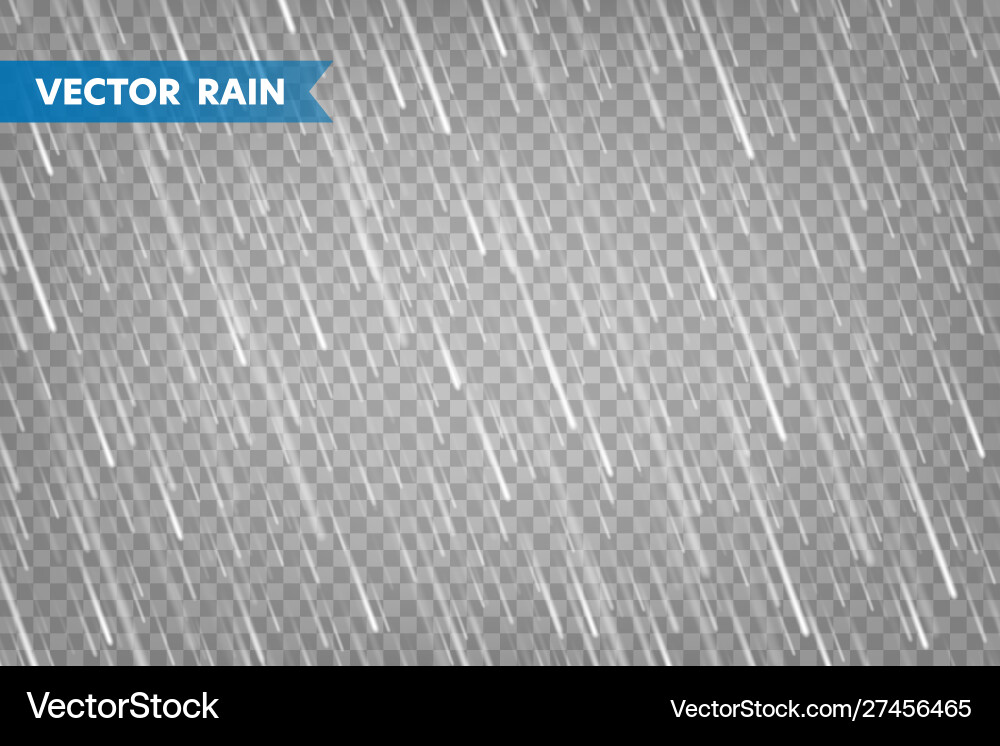Realistic rain texture on transparent background Vector Image