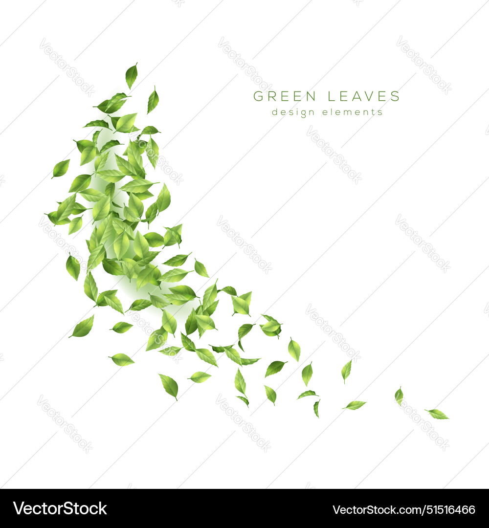 Green leaf background Royalty Free Vector Image