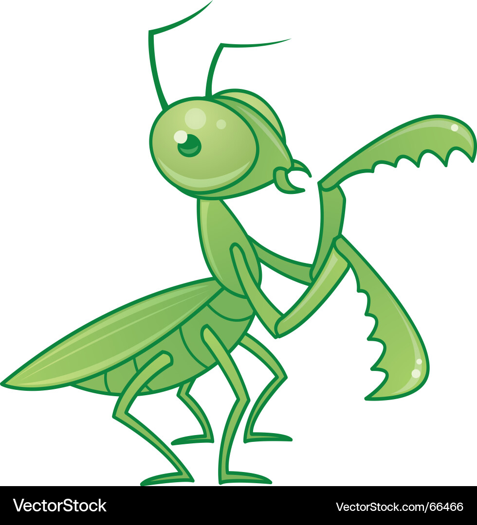 Praying mantis Royalty Free Vector Image - VectorStock