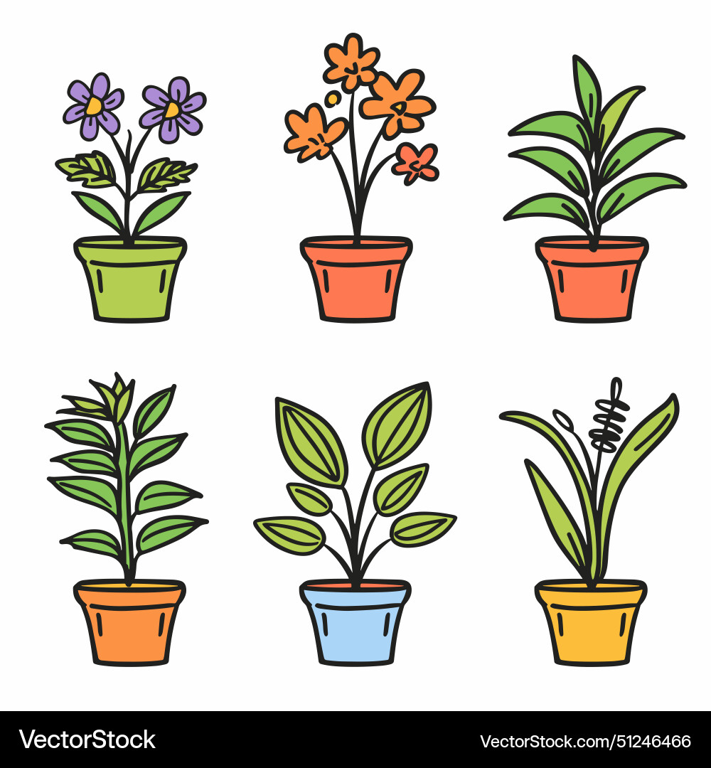 Six potted plants colorful Royalty Free Vector Image