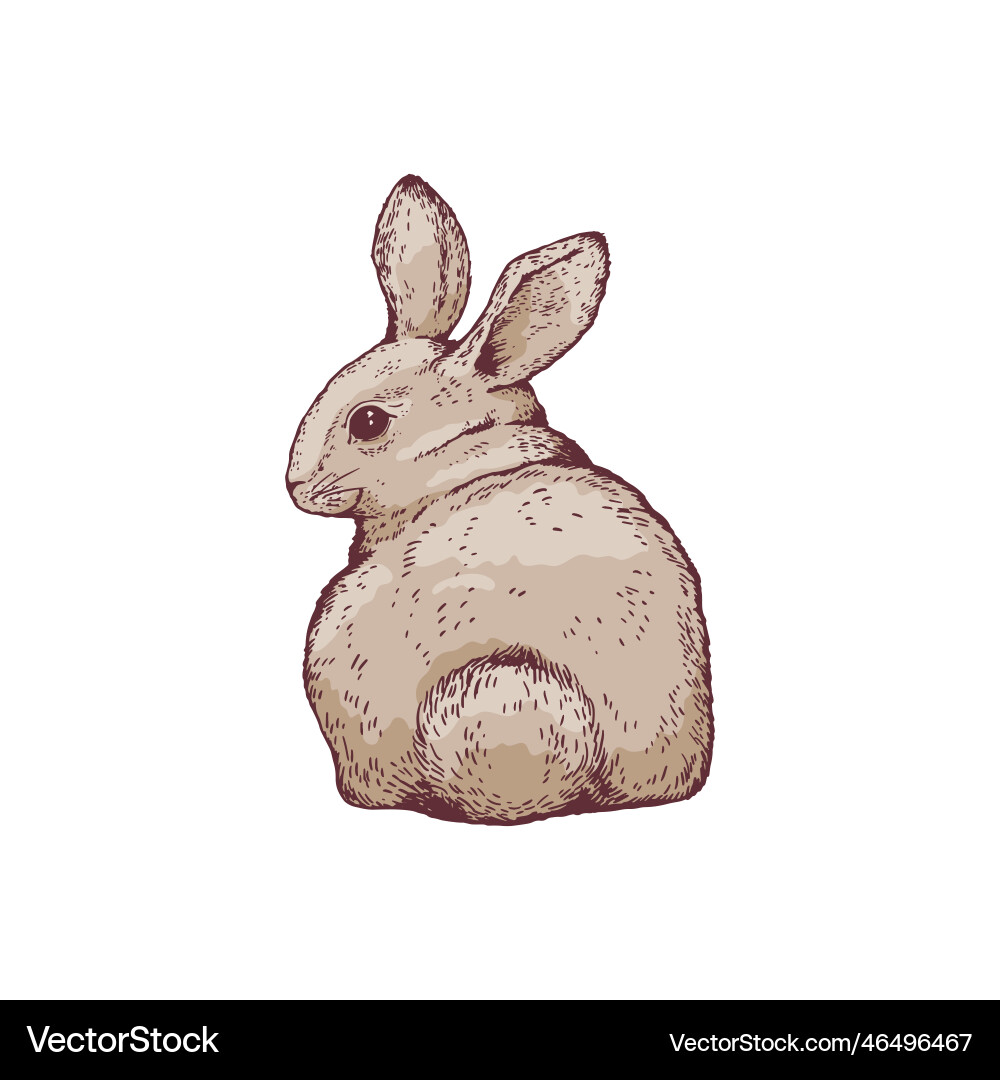 Cute and funny rabbit sitting hand drawn sketch Vector Image
