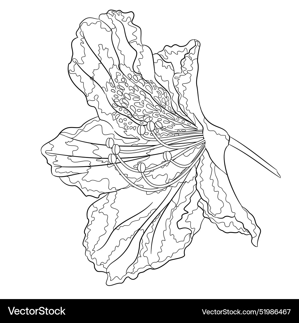 Flower rhododendron mountain shrub outline Vector Image