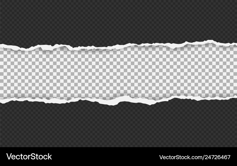 Horizontal torn paper edge ripped squared Vector Image