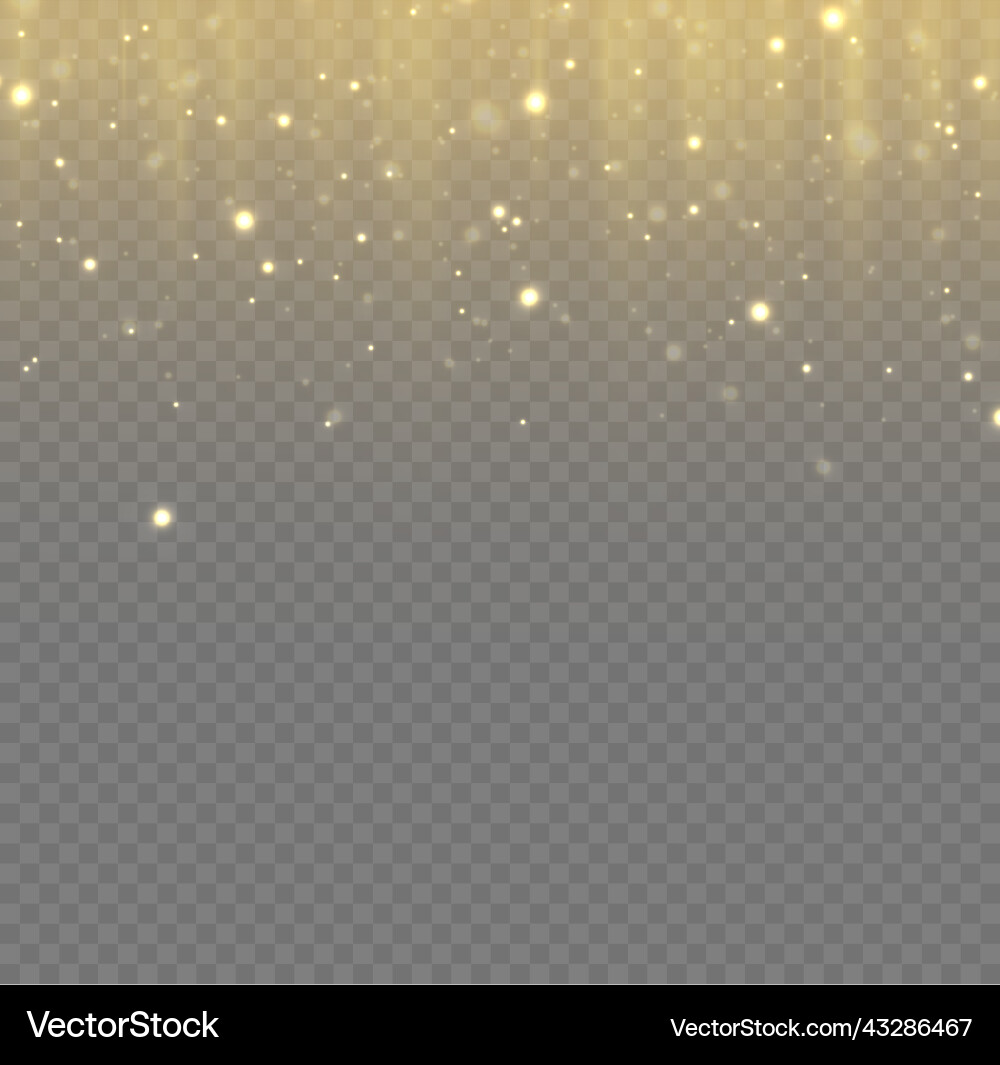 Light vertical gold line dust flying falling rain Vector Image
