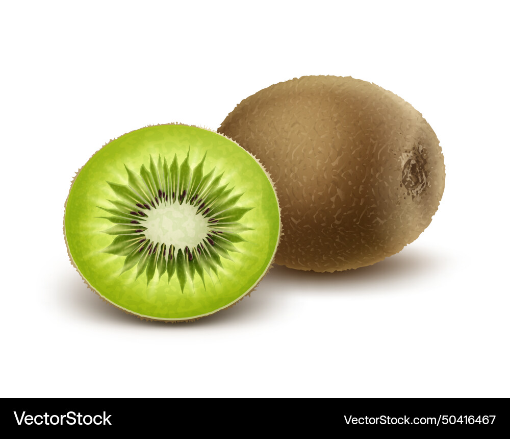 Whole and half cut kiwi Royalty Free Vector Image