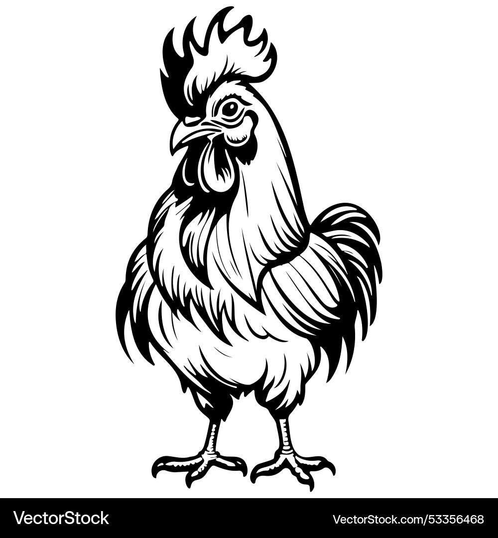 Cartoon rooster black hand drawn line Royalty Free Vector