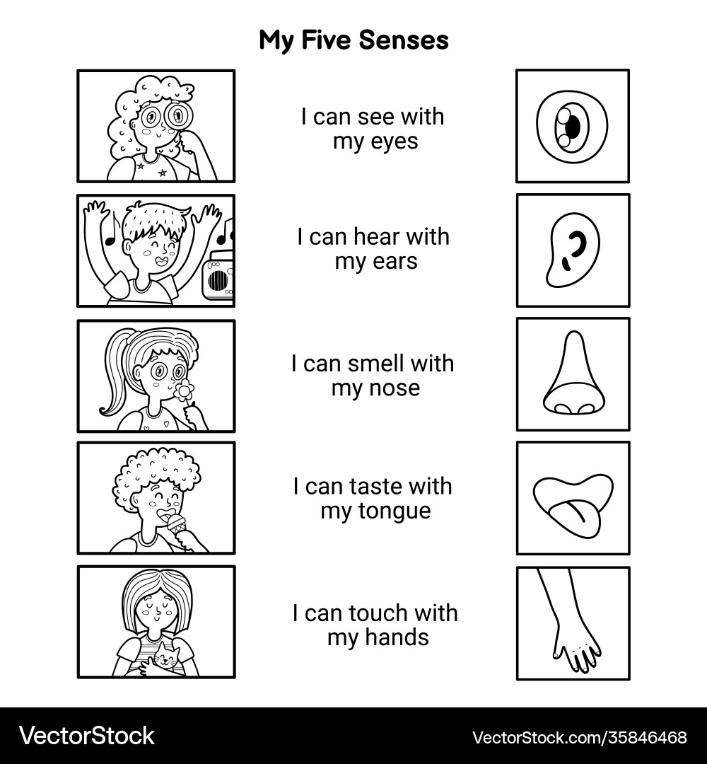 My five senses educational black and white poster Vector Image