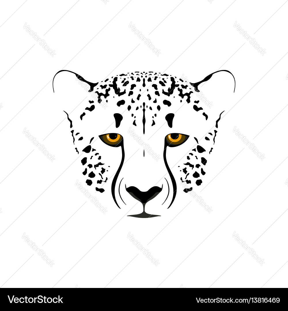 Cheetah Head Portrait Royalty Free Vector Image