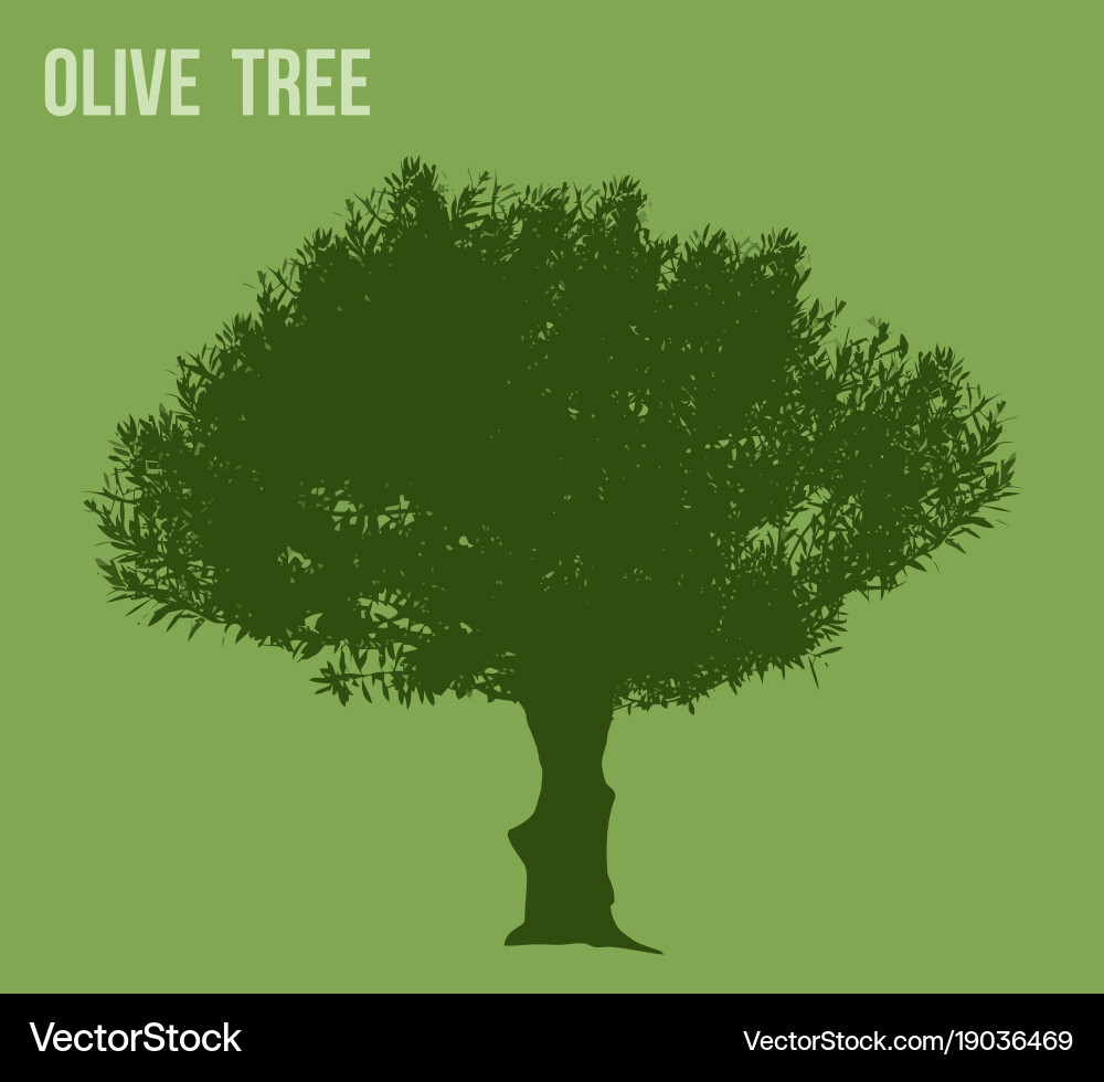 Olive tree silhouette Royalty Free Vector Image