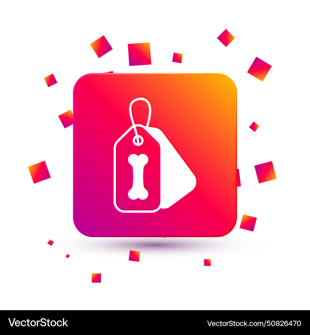 White dog collar with name tag and bone plaque Vector Image