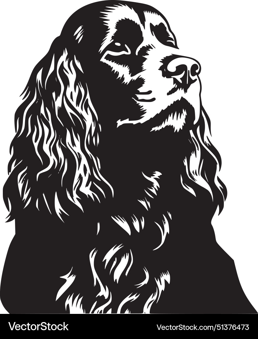 Cocker spaniel - high quality logo - ideal for Vector Image