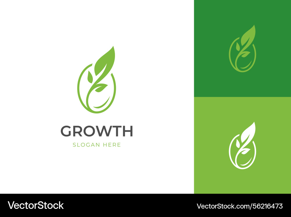 Growing Leaf Seed Logo Royalty Free Vector Image
