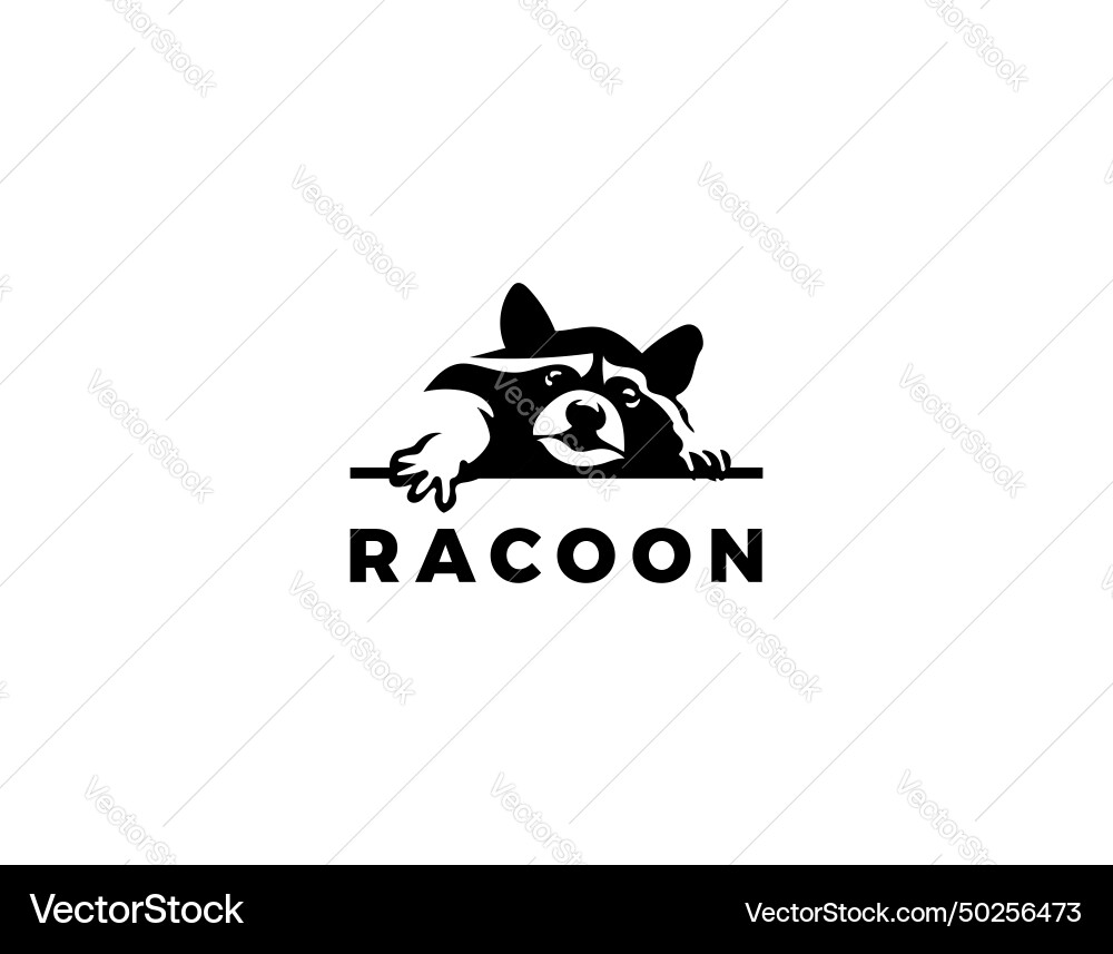 Simple sneak peek racoon logo design template Vector Image