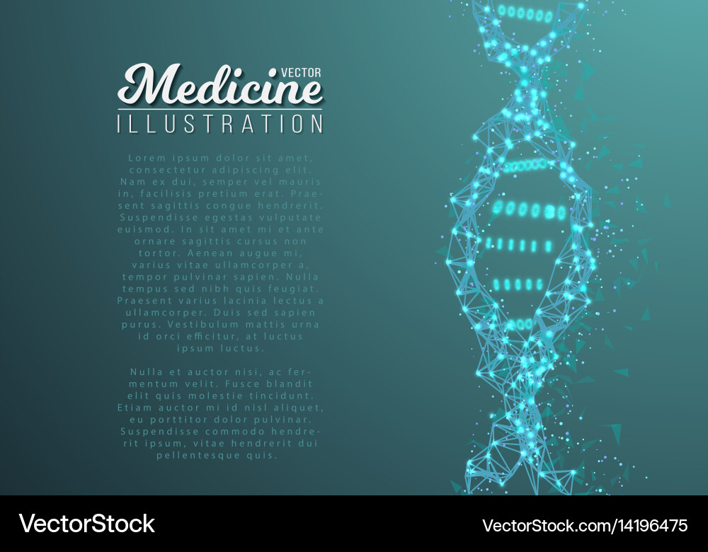 Dna spiral Royalty Free Vector Image - VectorStock