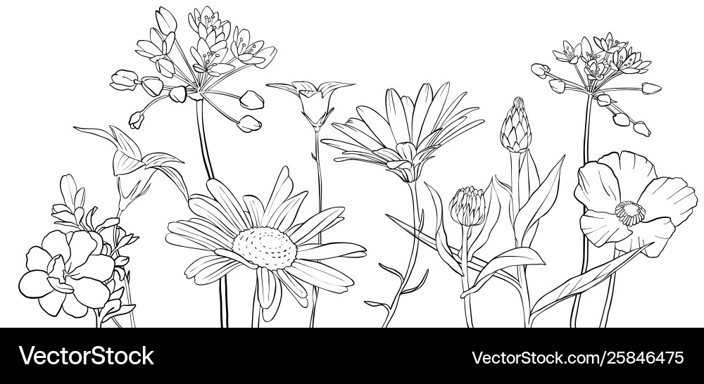 Drawing flowers Royalty Free Vector Image - VectorStock