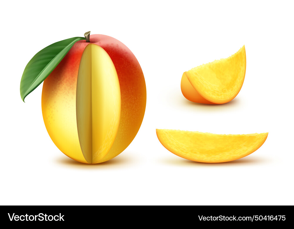 Sliced mango Royalty Free Vector Image - VectorStock