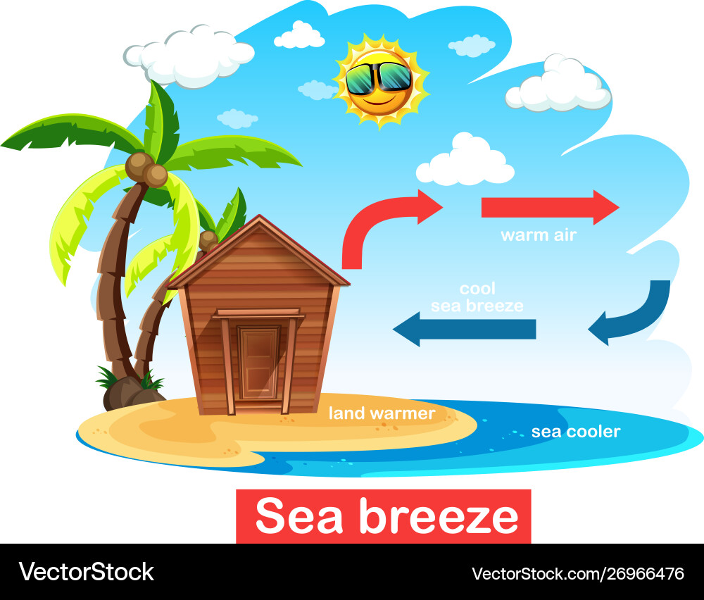 Diagram showing circulation sea breeze Royalty Free Vector
