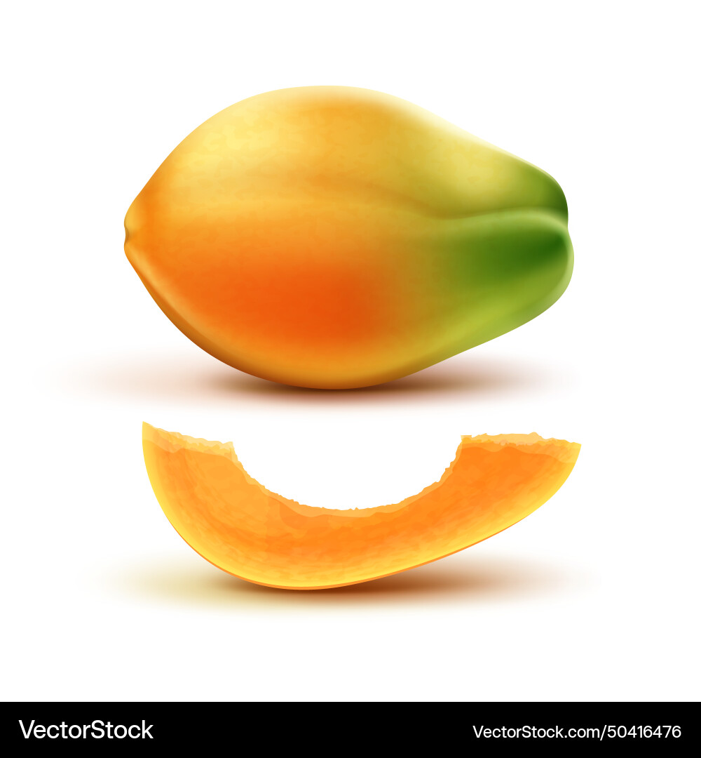 Whole and slised papaya Royalty Free Vector Image