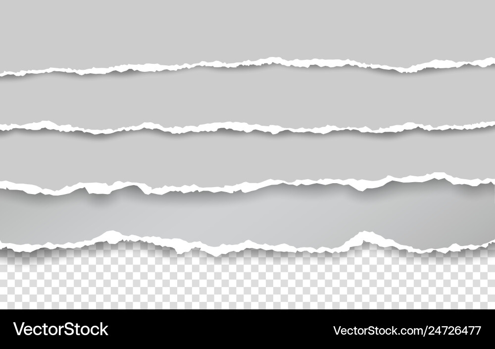 Horizontal torn paper edge ripped squared Vector Image