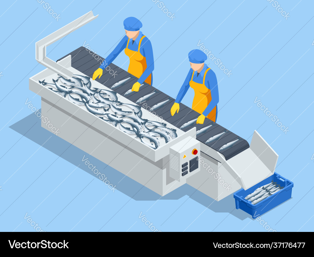 Isometric fish industry seafood production Vector Image