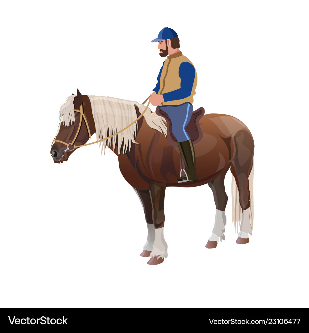 Man riding a horse Royalty Free Vector Image - VectorStock