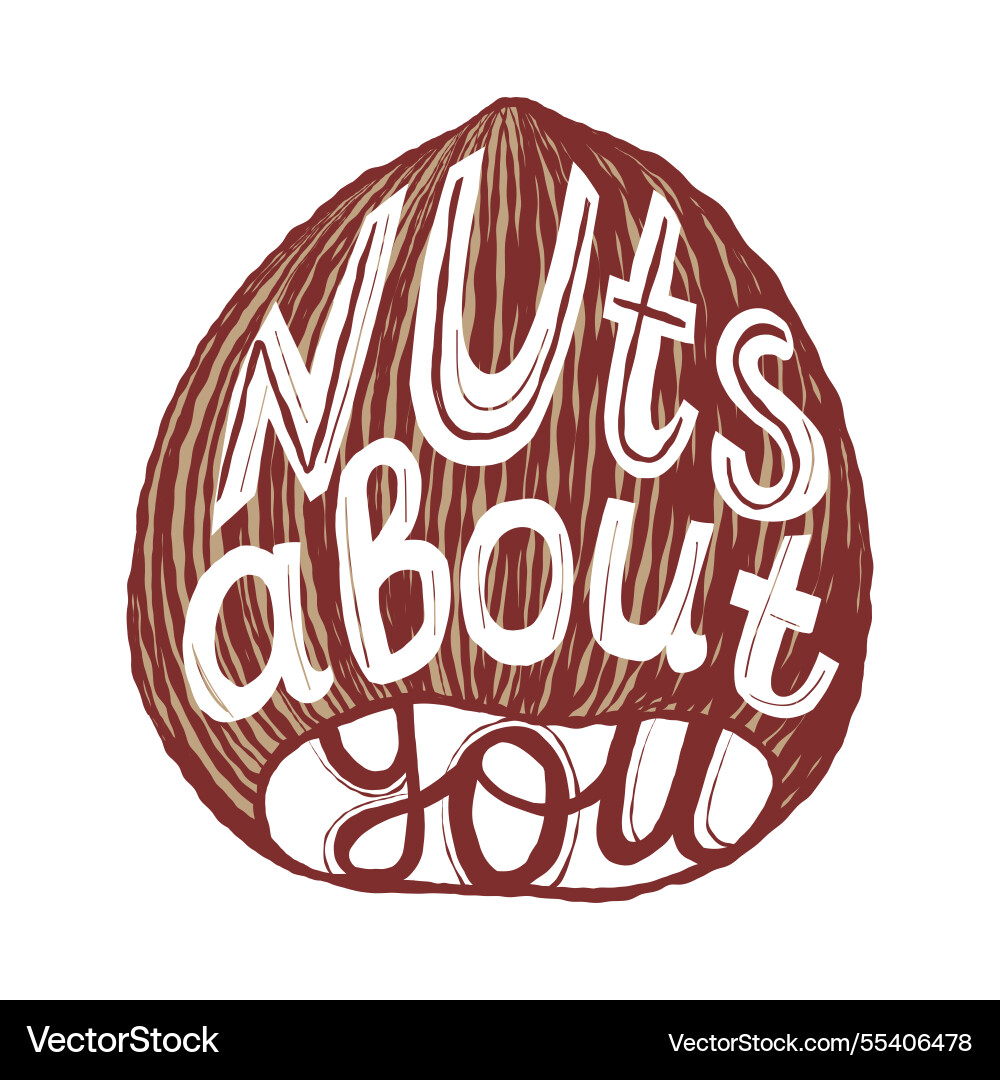 Lettering inscribed in a nut nuts about you Vector Image