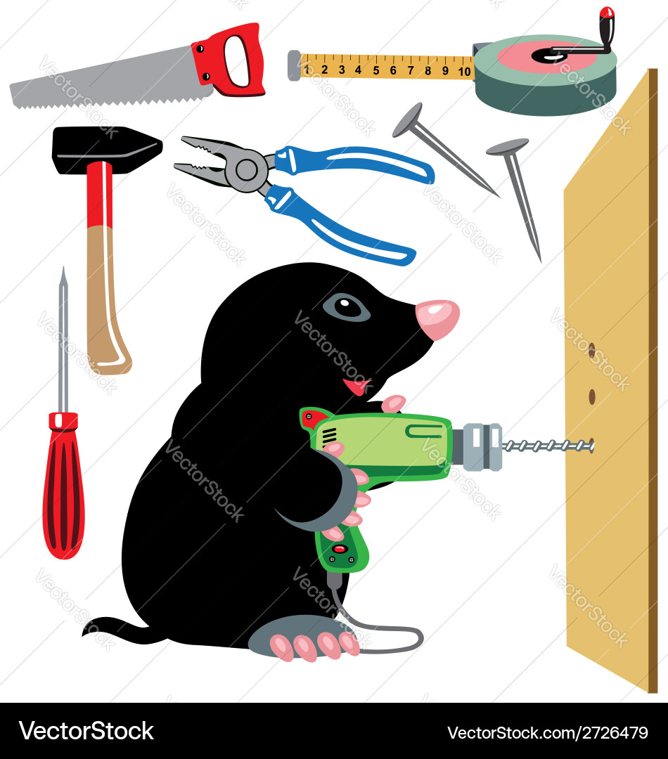 Cartoon mole builder Royalty Free Vector Image