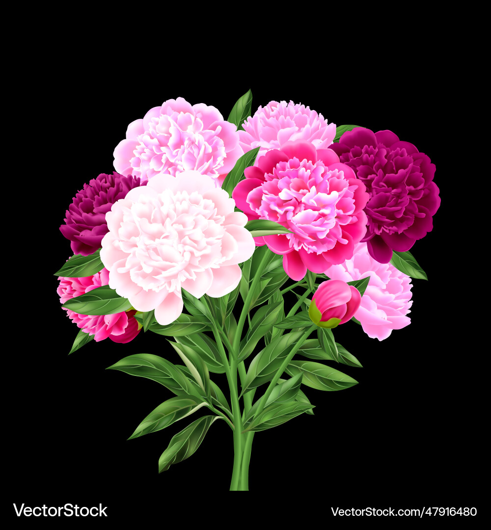 Pink Peony Bouquet Royalty Free Vector Image - VectorStock