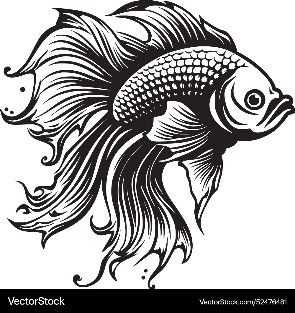 Betta fish - black and white isolated icon Vector Image