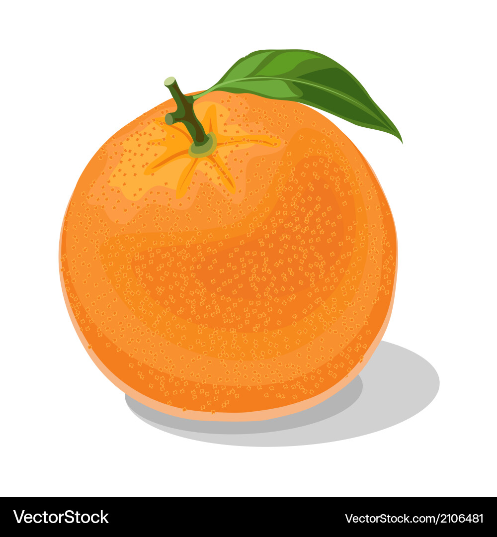 Orange Royalty Free Vector Image - VectorStock