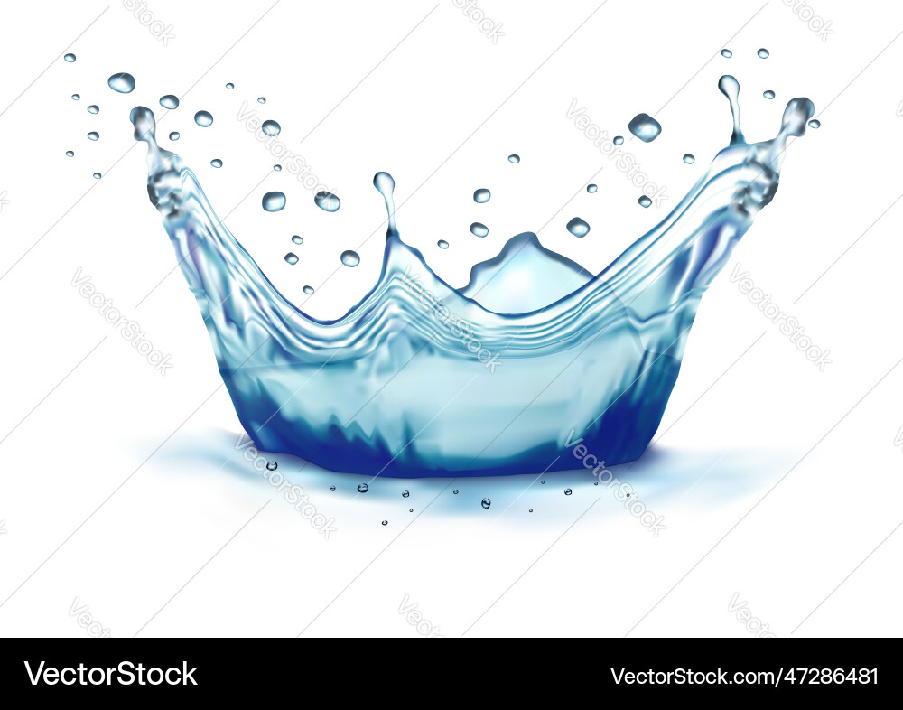 Water splash Royalty Free Vector Image - VectorStock